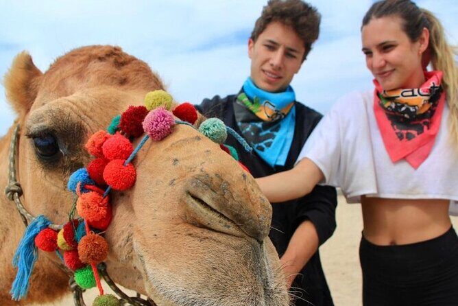 Side by Side and Camel COMBO Adventure - What to Expect from the Tour