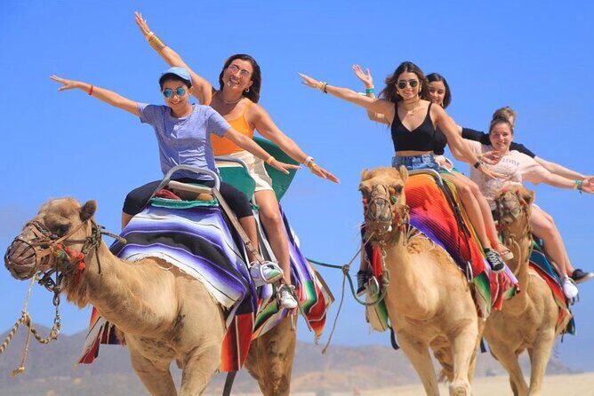 Side by Side and Camel COMBO Adventure - Who Will Love This Tour?