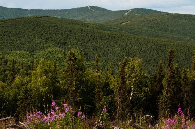 Side by Side Evening Tour - Included Amenities