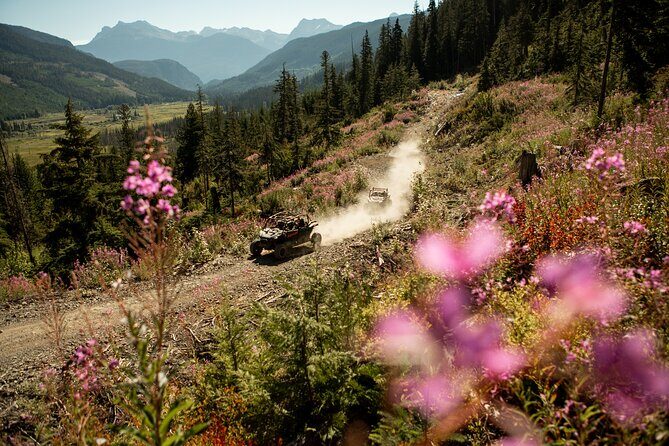 Side-by-Side Off-Roading Adventures on Cougar Mountain - What’s Included and How It Works
