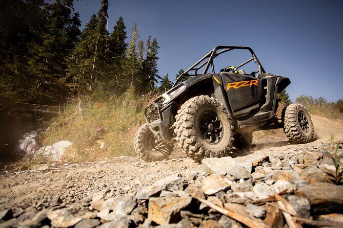 Side-by-Side Off-Roading Adventures on Cougar Mountain - The Scenery: Views and Photo Opportunities