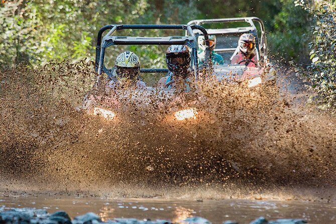 Side-by-Side Off-Roading Adventures on Cougar Mountain - Who Will Love This Tour?