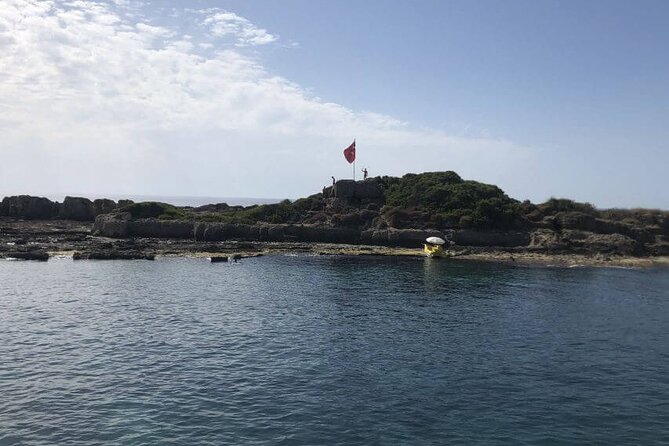 Side: Dolphin Island Boat Tour With Foam Party and Lunch - Key Points