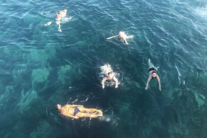 Side: Dolphin Island Boat Tour With Foam Party and Lunch - Accessibility Features