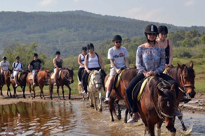 Side Horse Riding On Beach And Through The Forests For 2 Hours - The Experience Itself: What You’ll Feel and See