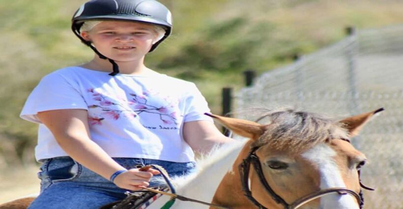 Side: Horse Safari Tour - Itinerary and Experience Breakdown