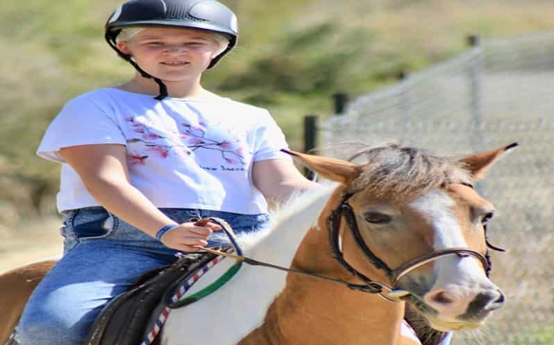 Side: Horse Safari Tour - Who Will Love This Tour?