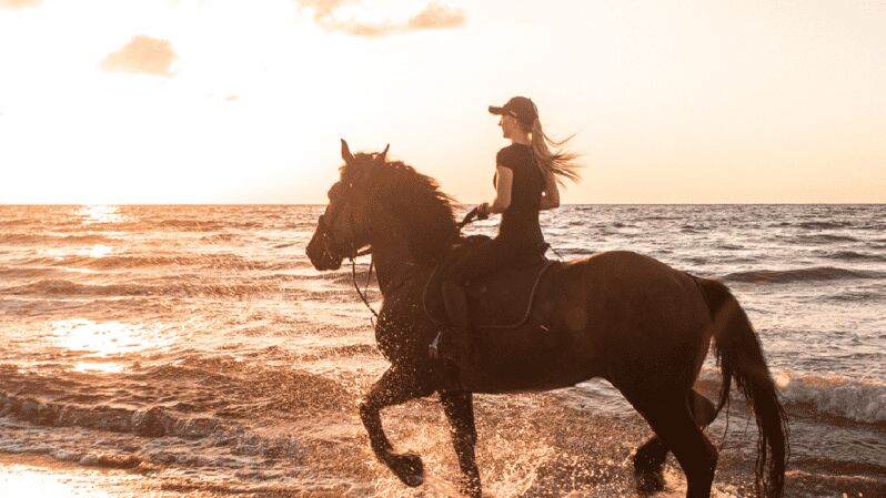 Side: Horseback Riding Tour in Nature with Transfer - An Honest Look at the Horseback Riding Experience in Side