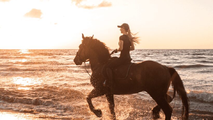 Side: Horseback Riding Tour in Nature with Transfer - The Sum Up: Is This Horseback Ride Worth It?