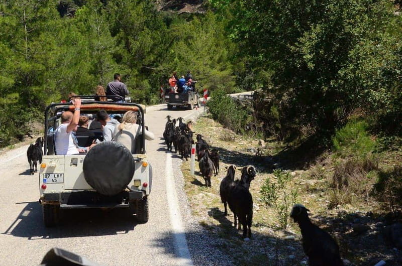 Side: Jeep Safari Tour with Lunch and Green Canyon See - Practical Considerations