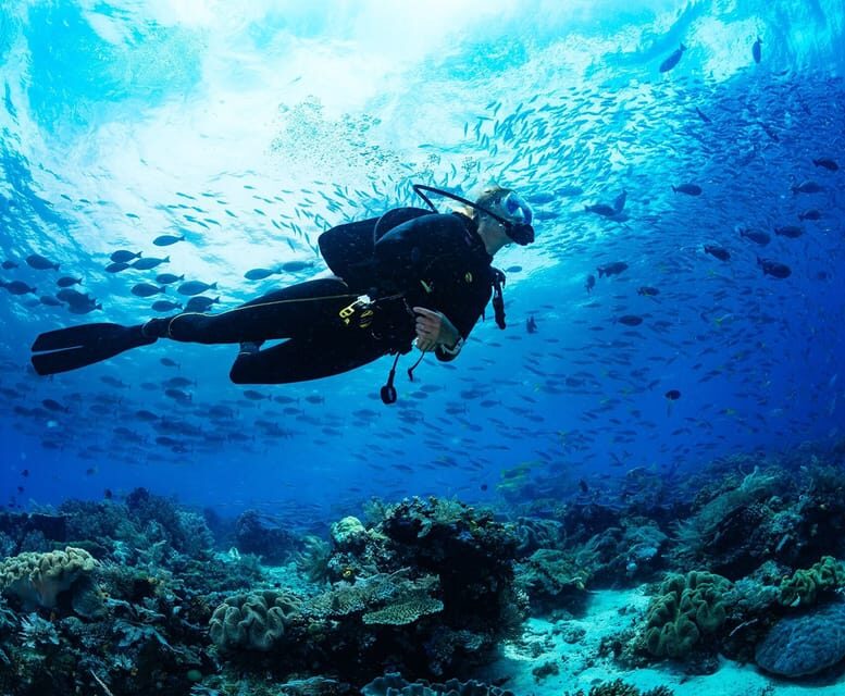 Side: Scuba Diving Tour Journey To The Depths Of The Blue - FAQ