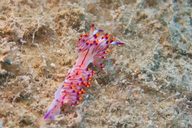 Side: Scuba Diving Under Water Museum - Guest Reviews and Feedback