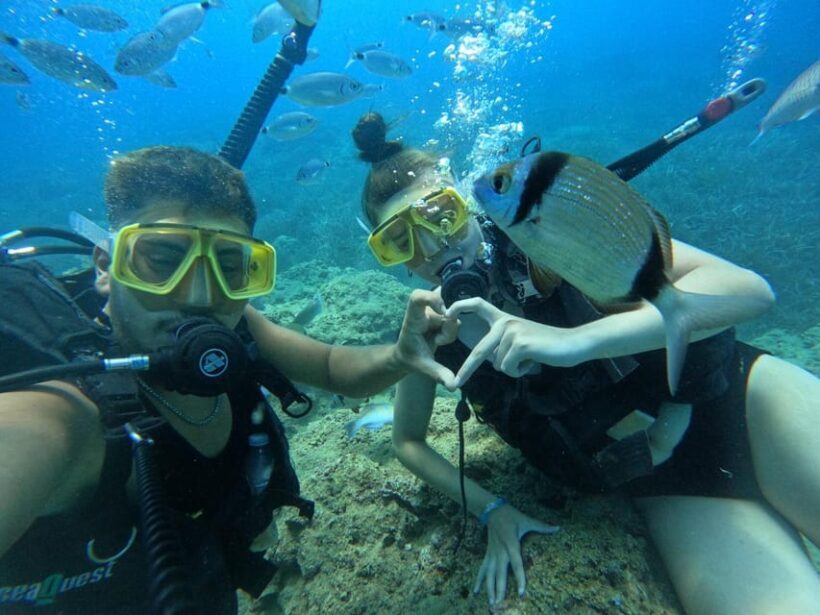 Side: Scuba Diving & Under Water Museum with Hotel Transfer - Final Thoughts: Is It Worth It?