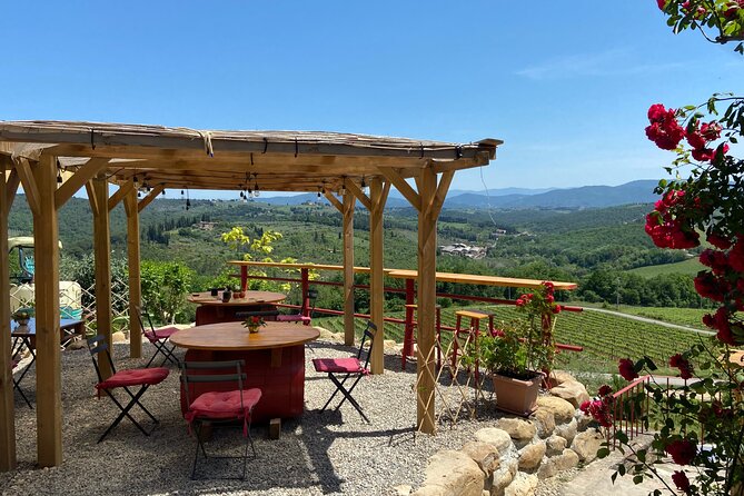 Sidecar tour in Florence and Chianti with wine tasting and lunch - FAQ