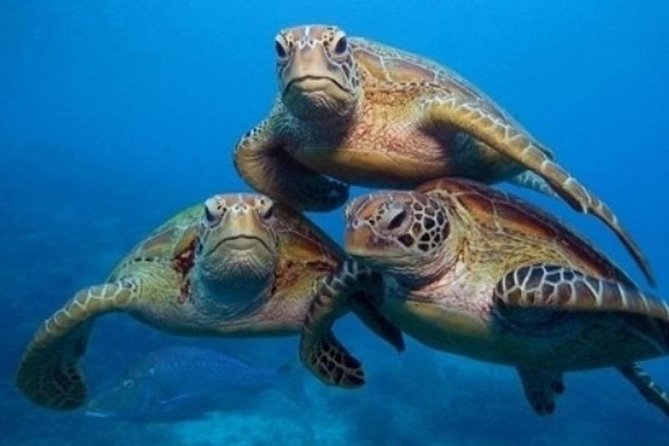 Side:Explore Manavgat Market & Waterfalls on a Scenic Boat Tour - The Sum Up