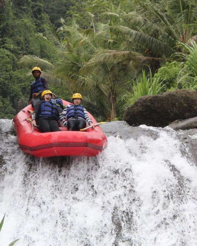 Sidemen-Bali: Private Rafting Telaga Waja River with Lunch - What Travelers Are Saying