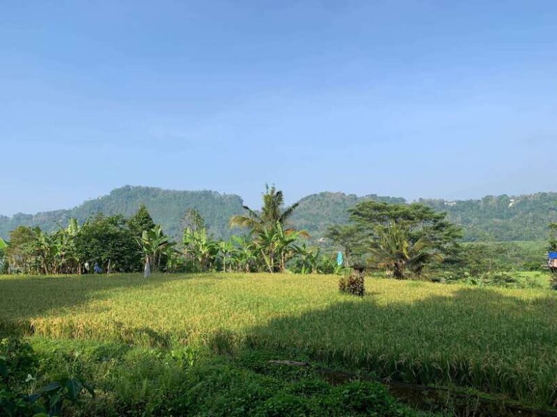 Sidemen: Balinese Traditional Activities - Scenic Views and Cultural Insights