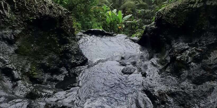 Sidemen: Rice Terraces and Hidden Waterfall - Who Should Consider This Tour?