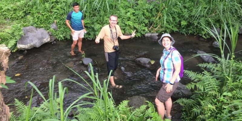 Sidemen: Rice Terraces and Hidden Waterfall - Exploring Bali’s Authentic Rural Charm