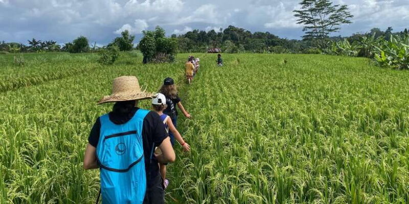 Sidemen: Rice Terraces and Hidden Waterfall - Discovering the Hidden Gem: Gembleng Waterfall