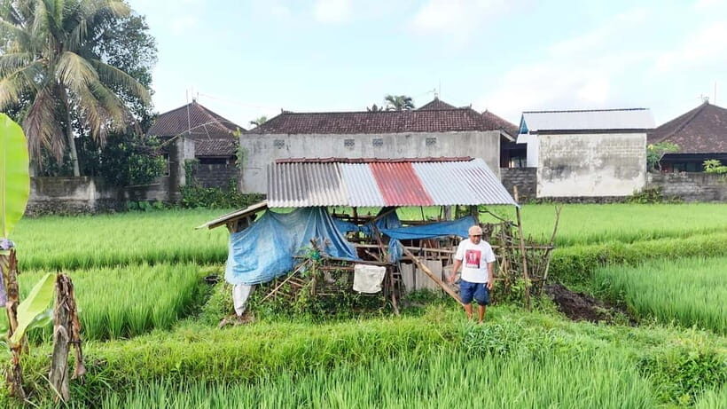 Sidemen rice terraces trek and local village walk - Key Points