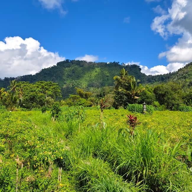 Sidemen rice terraces trek and local village walk - The Sum Up: The Value of the Sidemen Rice Terraces Walk