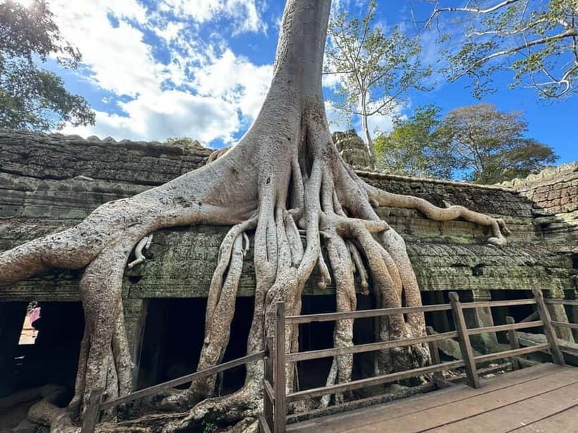Siem Reap: 1-Day Angkor Wat Group Tour with Spanish Guide - A Deep Dive into the Tour Experience