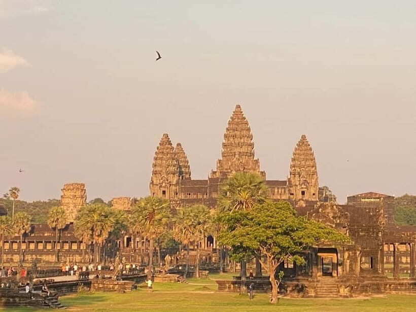 Siem Reap: 1-Day Angkor Wat Tour with Italian-Speaking Guide - Key Points