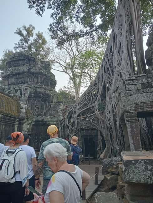 Siem Reap: 1-Day Angkor Wat Tour with Italian-Speaking Guide - What to Expect from Your Angkor Experience