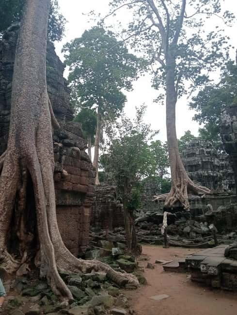 Siem Reap: 1-Day Angkor Wat Tour with Italian-Speaking Guide - The Sum Up