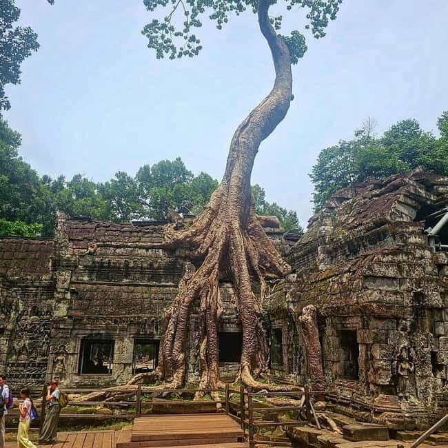 Siem Reap: 1-day group tour of Angkor with Spanish tour guide - Final Thoughts