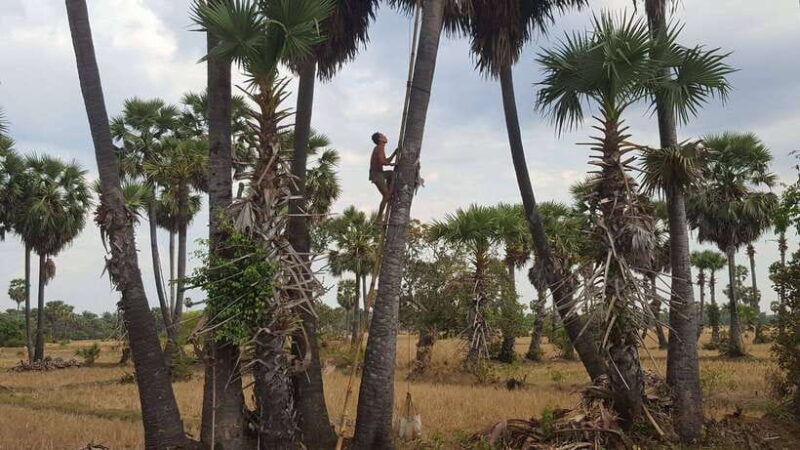 Siem Reap: 6-Hour Easy Rider Motorbike Tour - The Return and Overall Value