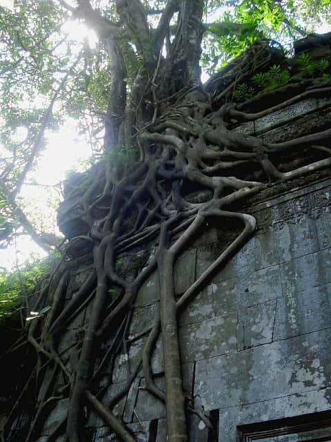Siem Reap: 8-Hour Forgotten Treasures Motorbike Tour - Key Points