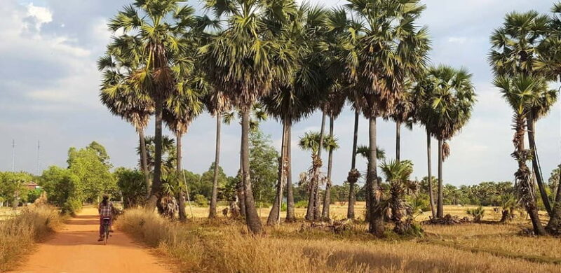 Siem Reap: 8-Hour Forgotten Treasures Motorbike Tour - Final Thoughts