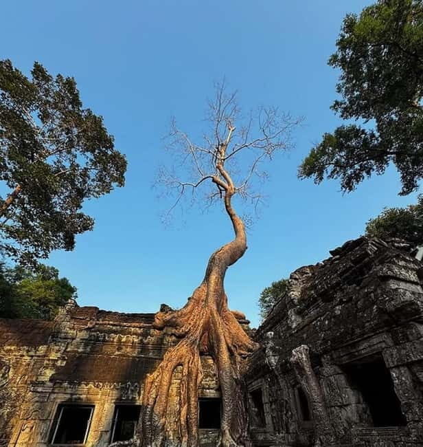 Siem Reap: Angkor 1-Day Private Tour with Sunset or Sunrise - The Itinerary: What You’ll See and Experience