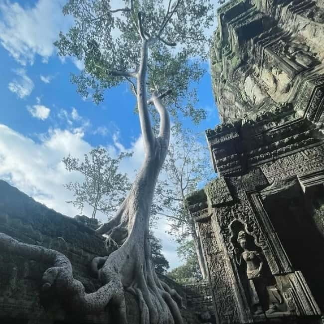 Siem Reap: Angkor 1-Day Private Tour with Sunset or Sunrise - What Travelers Say