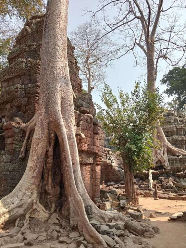 Siem Reap: Angkor Full-Day Group Tour with Japanese Guide - The Itinerary: A Day of Highlights and Insights
