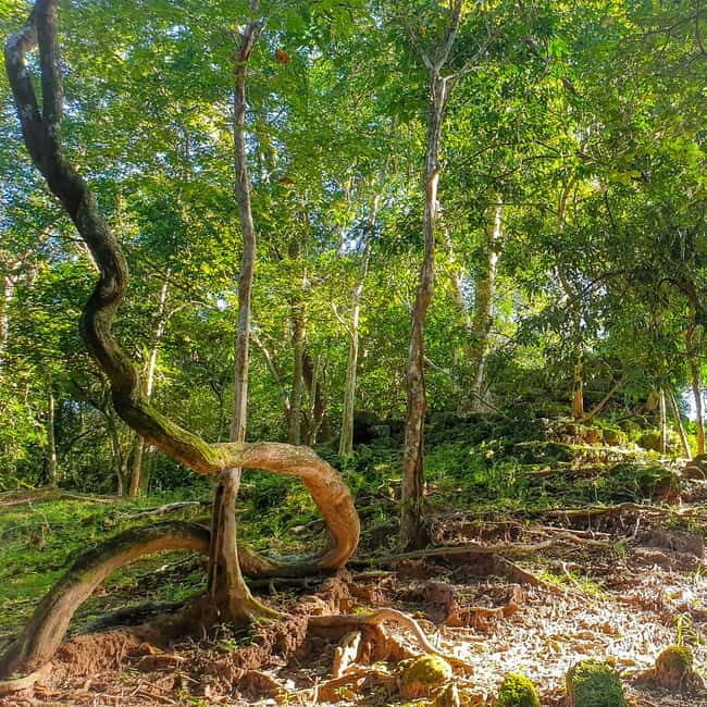 Siem Reap: Angkor Temples Off the beaten track Photo Trip - Practical Details and Tips