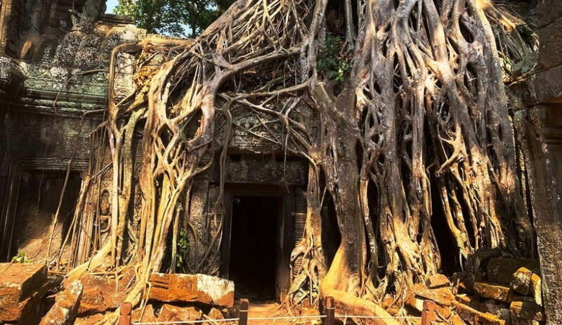 Siem Reap: Angkor Temples Small Circuit Shared Group Tour - Exploring the Angkor Temples Small Circuit: A Practical and Authentic Tour Choice