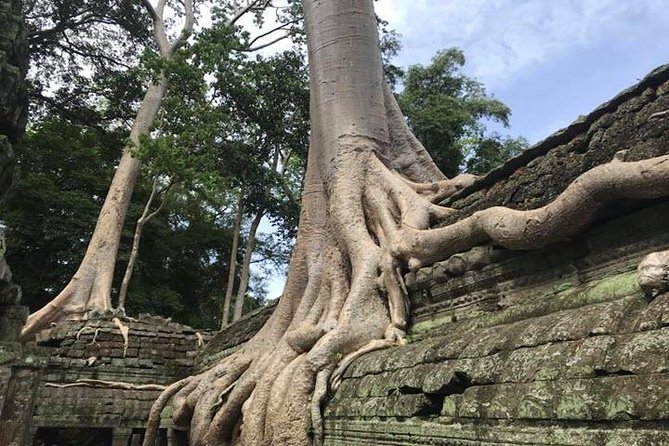 Siem Reap Angkor Wat Guide Tour Small Group - The Cancellation Policy and Booking