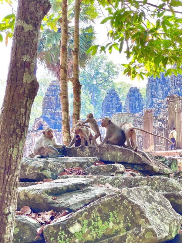 Siem Reap: Angkor Wat Private full Day Tour - Authentic Experiences and Testimonials