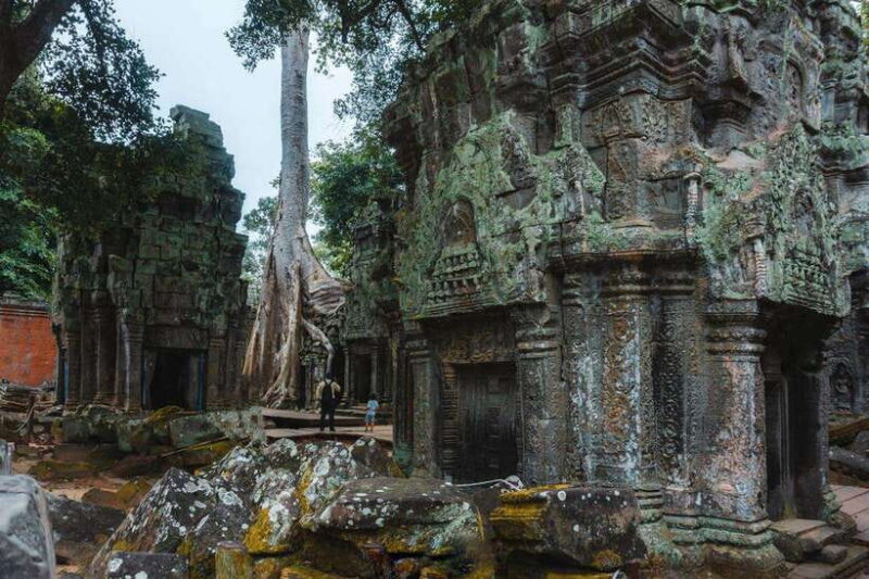 Siem Reap: Angkor Wat Small-Group Full Day Tour and Sunset - Authentic Experiences and the Guide’s Role