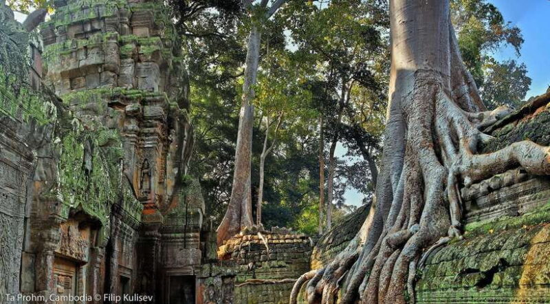 Siem Reap: Angkor Wat: Small-Group Sunrise Tour - The Real Value of This Tour