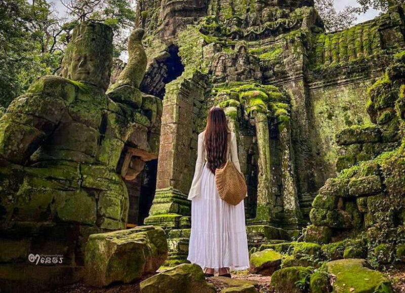 Siem Reap: Angkor Wat Sun rise Private Day Tour with Guide - Ta Prohm: The Jungle-Entwined Ruins