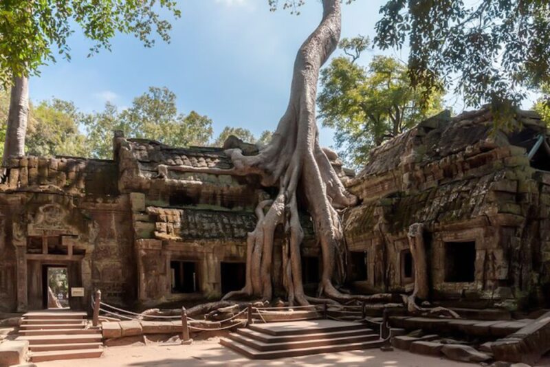 Siem Reap: Angkor Wat Sunrise and Full-Day Sightseeing Tour - Cost, Value, and Practicalities