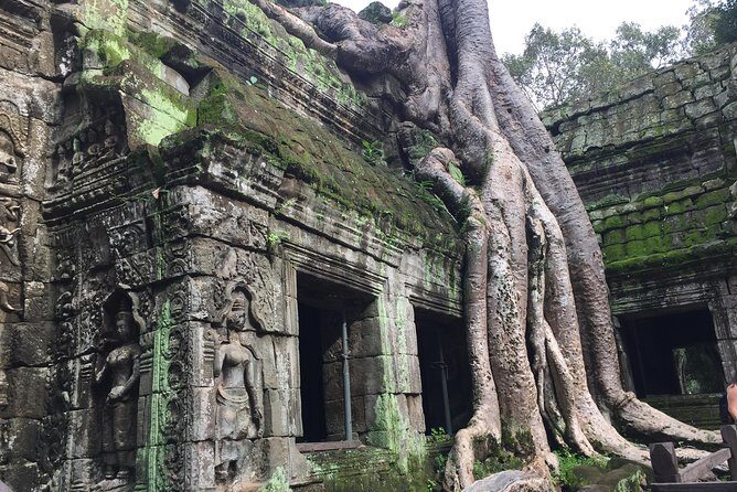 Siem Reap Angkor Wat Sunrise Small Tour By Join In - Who Will Love This Tour?