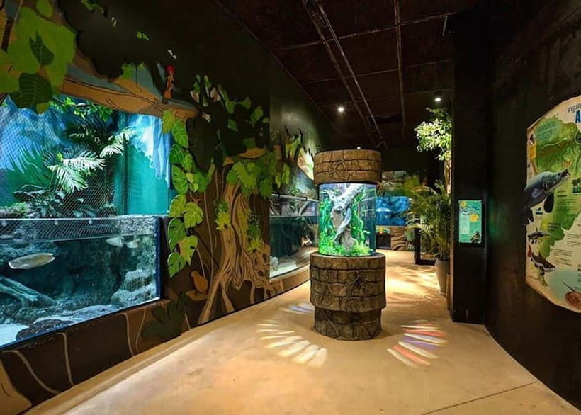 Siem Reap: Angkor Wildlife & Aquarium Entrance Ticket - The Experience in Detail: From Arrival to Departure