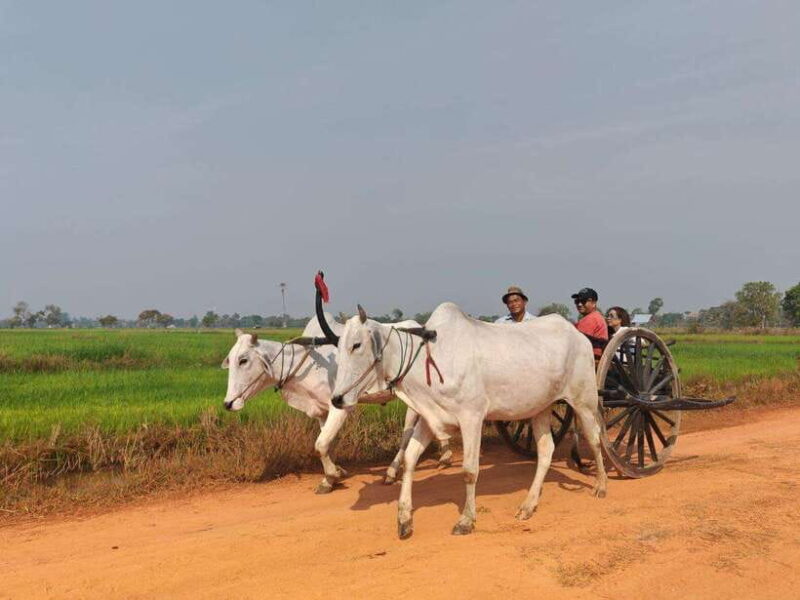 Siem Reap: Authentic Village Tour with Ox Cart Ride - Riding an Ox Cart — An Old-World Experience