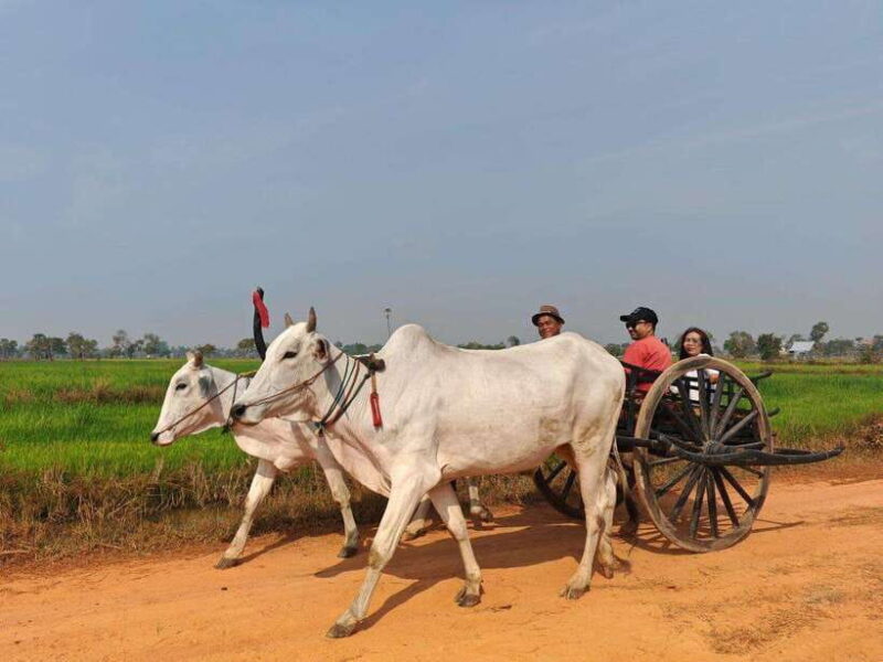Siem Reap: Authentic Village Tour with Ox Cart Ride - Crafting with Palm Leaves and Sugar