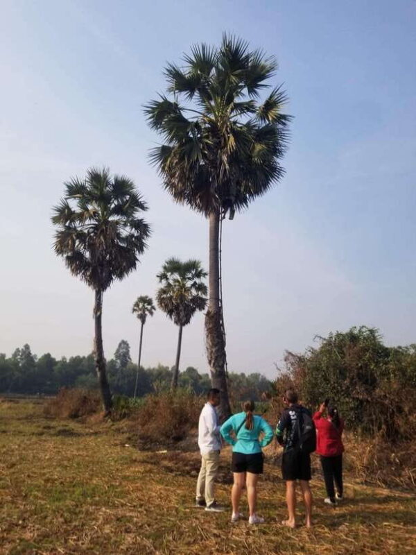 Siem Reap: Authentic Village Tour with Ox Cart Ride - Real Traveler Perspectives